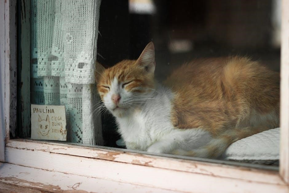Sleep Hygiene: Improve Your Rest with Our Spanish PDF Guide